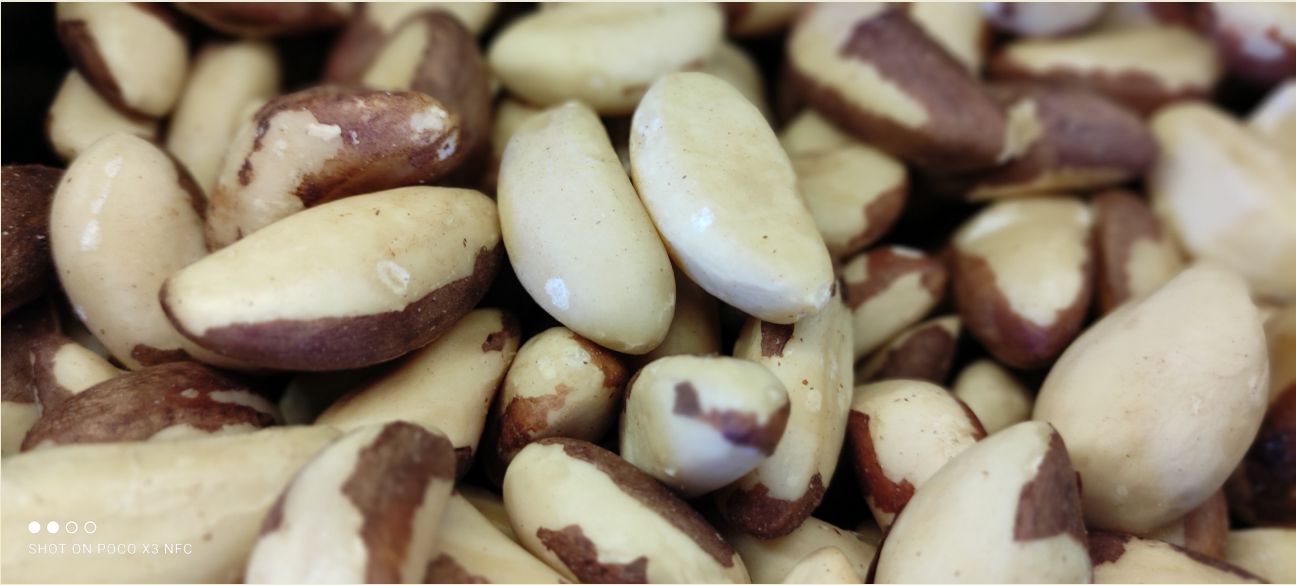 Peanuts Brazil - Nuts Factory